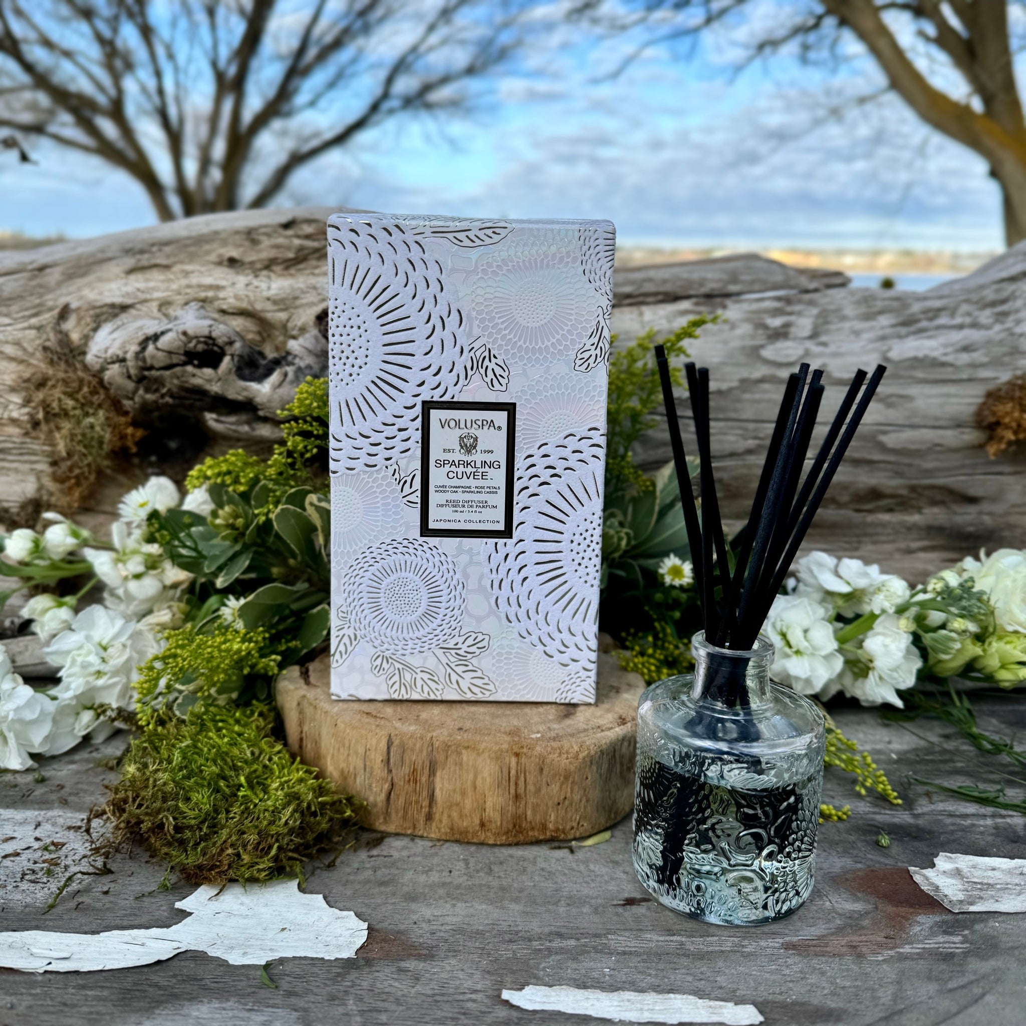 Sparkling Cuvée Diffuser